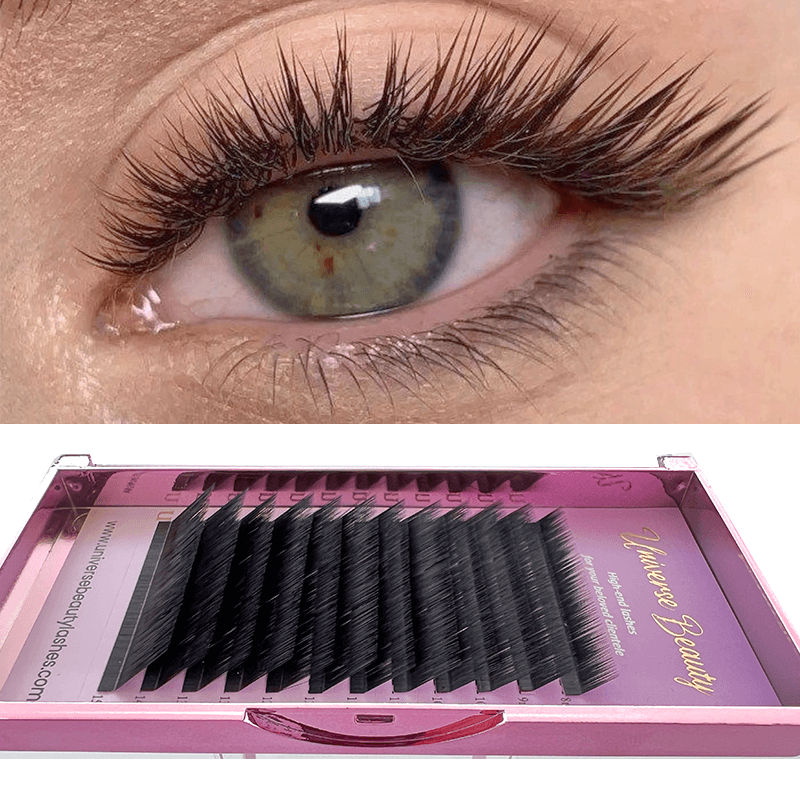 Hyloon 0.07 Easy Fan L Curl Lash Extensions – Universe Beauty